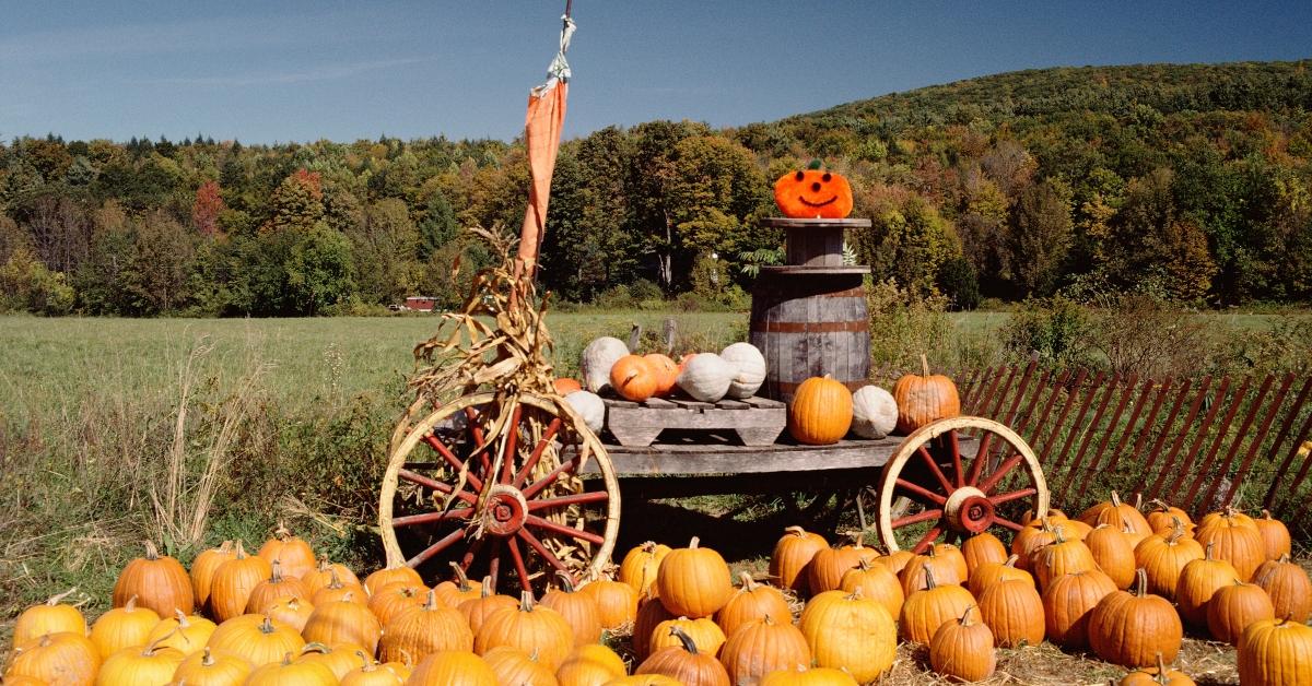 40 "First Day of Fall" Captions to Spice up Your Instagram