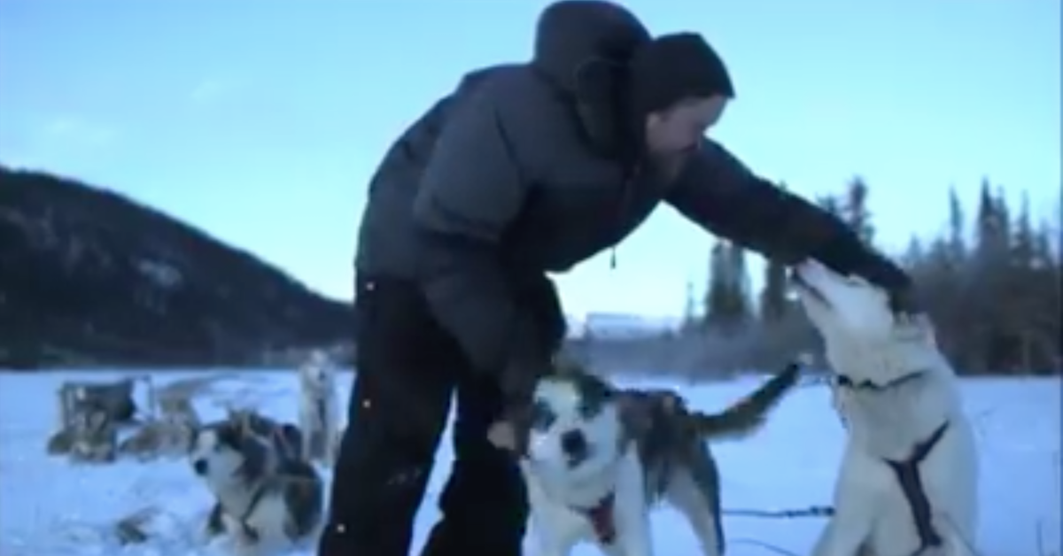 The Truth About The Death of 'Life Below Zero' Cameraman Oliver Lynch
