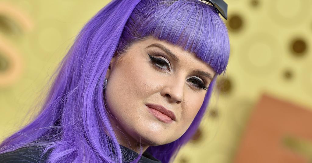 Who Is the Ladybug on 'The Masked Singer'? Season 2 Clues