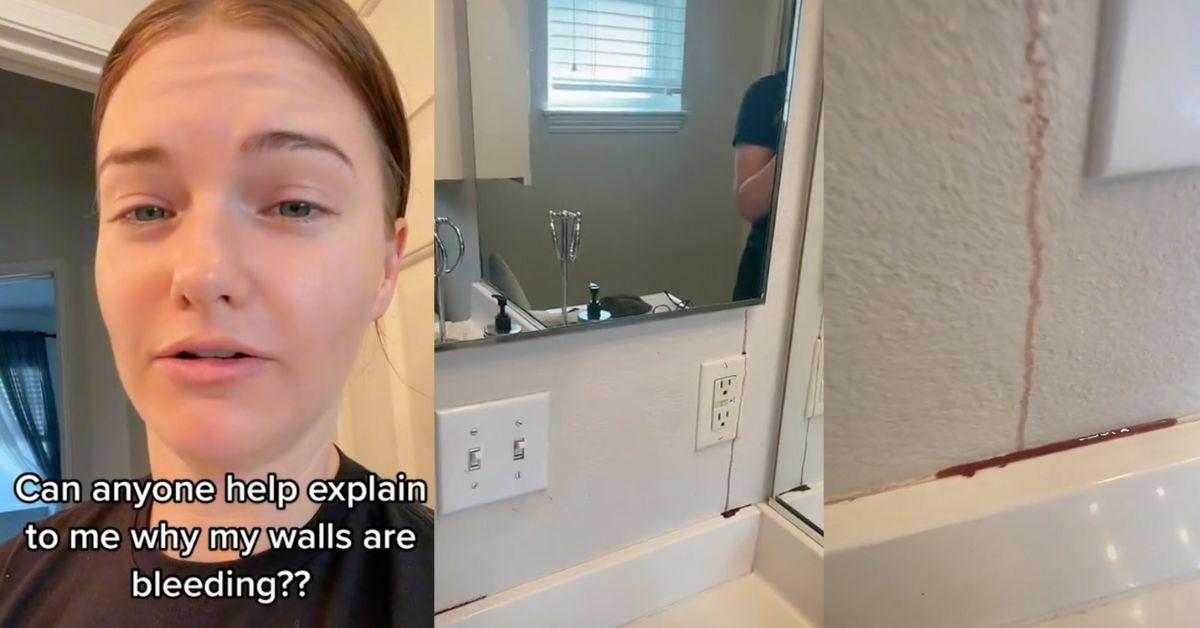 Woman Claims Her Bathroom Wall Was Bleeding in Viral Video