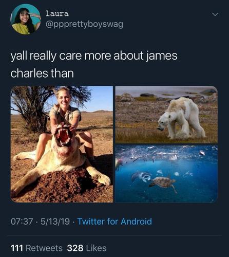 24 James Charles Memes to Cope with the Tati Westbrook Beef