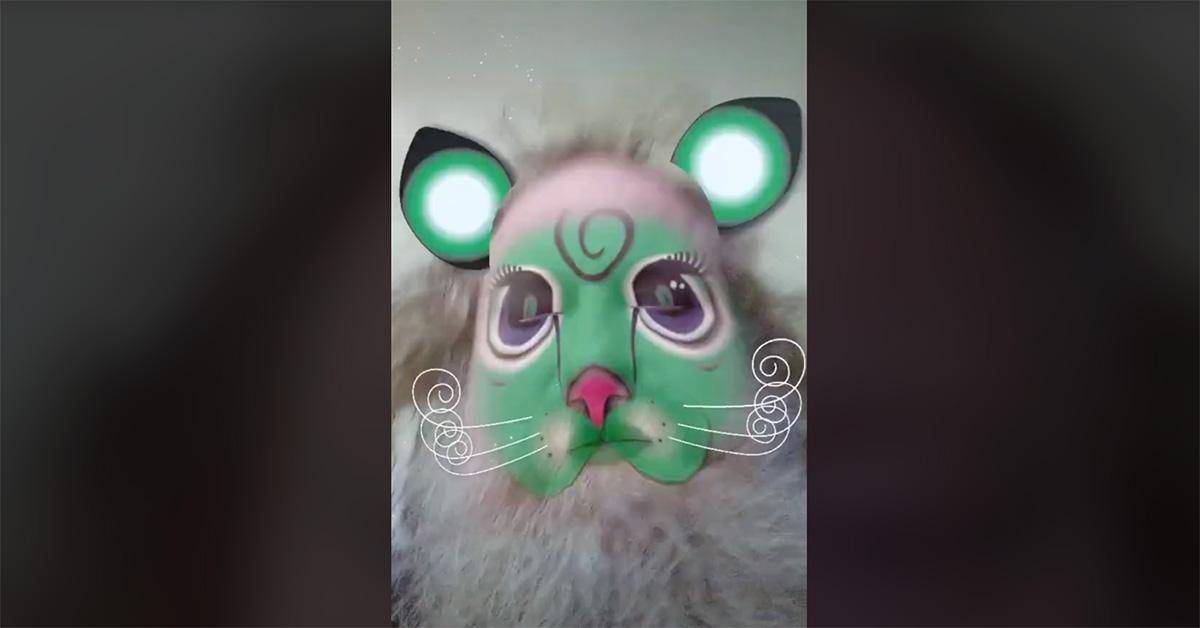 Is Brent Peterson Running for President? He's Become a Meme