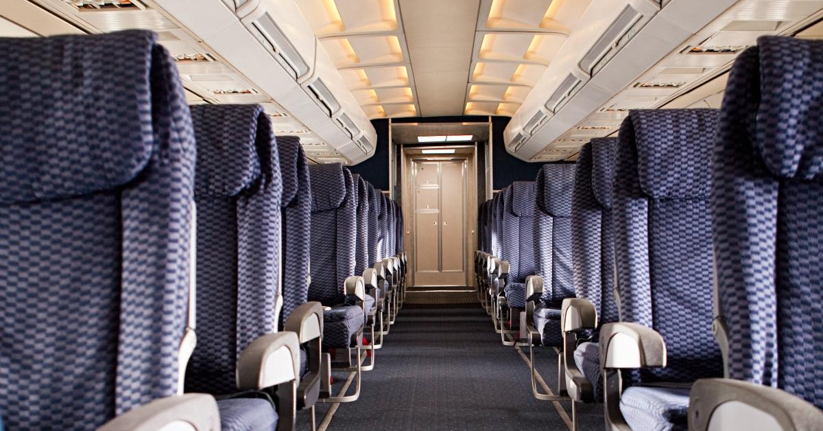 Woman Brings Pit Bull on Plane, Sparks Outage on the Internet