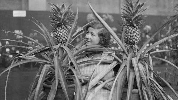 What Does An Upside Down Pineapple Mean It Depends
