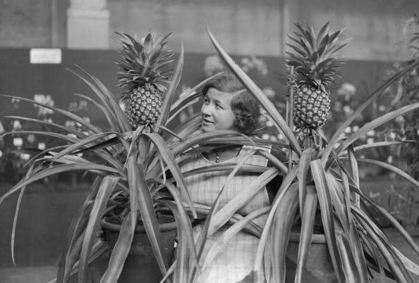 What Does an Upside Down Pineapple Mean? It Depends