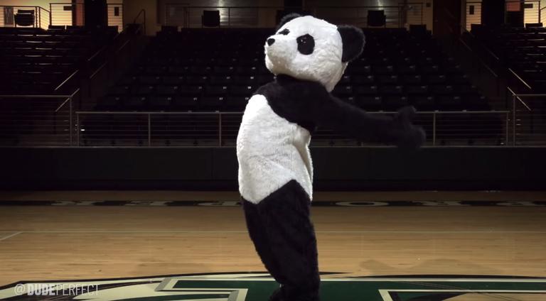Who Is Panda on 'Dude Perfect'? This Mascot Is Very Mysterious