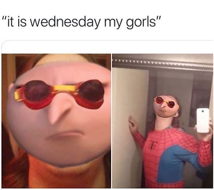 Hump Day Memes: Here Are Some Memes to Make Your Wednesday Lighter