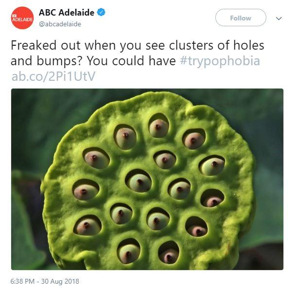 22 Trypophobic Images You Shouldn't Look at for Too Long