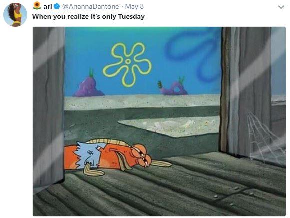 Everyone Can Relate to These Hilarious Happy Tuesday Memes