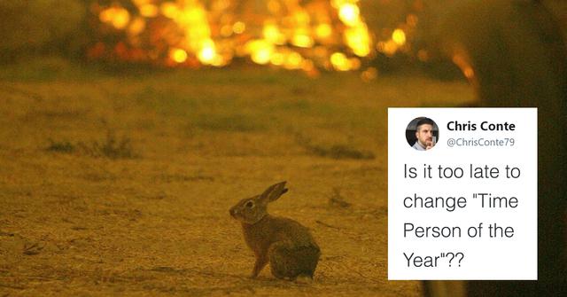 This Guy Risked His Life to Save a Bunny and the Internet Is Obsessed