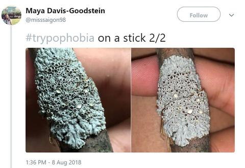 22 Trypophobic Images You Shouldn't Look at for Too Long