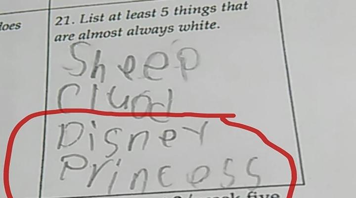 Funny Homework Answers From Kids