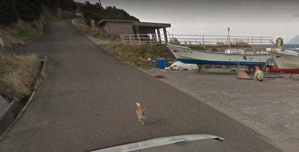 This Dog "Ruined" Every Frame of a Google Street View by Chasing Camera