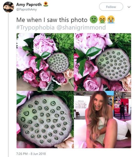 22 Trypophobic Images You Shouldn't Look at for Too Long