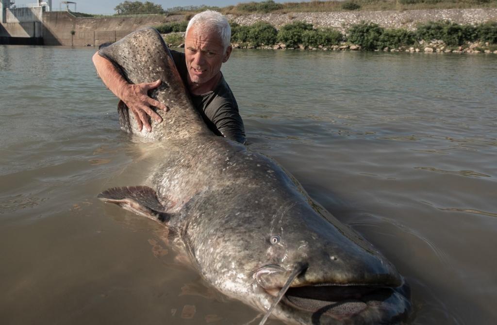 Is 'Dark Waters' Star Jeremy Wade Married? Plus More on the Animal ...