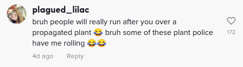 TikToker Admits She Steals Her Plants by "Snipping Off" Pieces to Grow ...