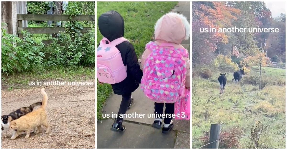 The Us in Another Universe TikTok Trend, Explained