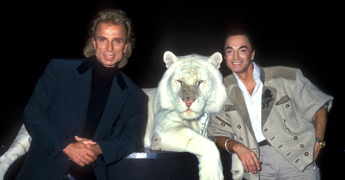 What Happened to Montecore? The 400-Pound Tiger Mauled Roy Horn