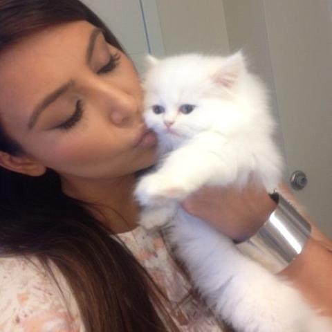 Kardashian Assistant — What Working for the Family Is Really Like