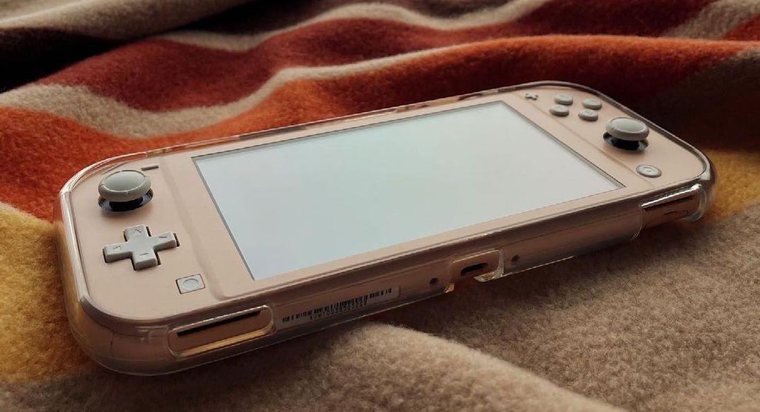 10 Cozy Games for Your Nintendo Switch That Aren't 'Animal Crossing'