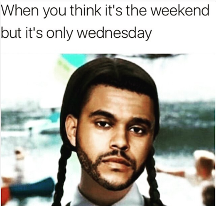Hump Day Memes: Here Are Some Memes to Make Your Wednesday Lighter