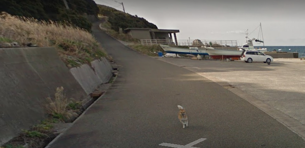 This Dog "Ruined" Every Frame of a Google Street View by Chasing Camera
