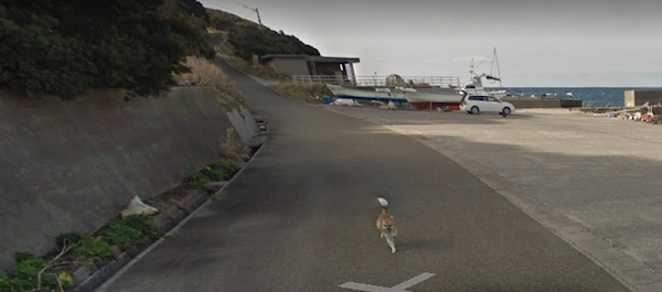 This Dog "Ruined" Every Frame of a Google Street View by Chasing Camera
