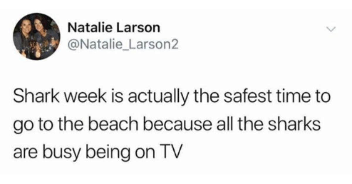 30 'Shark Week' Memes to prepare you for binge-watching Discovery Channel