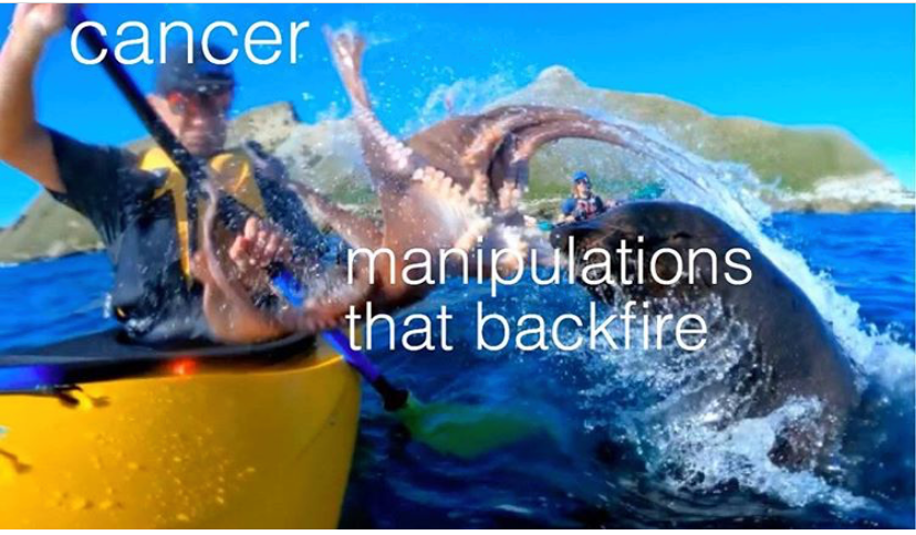 25 Cancer Season Memes That You'll Find Astonishingly Relatable