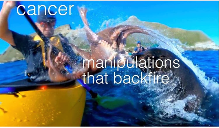 25 Cancer Season Memes That You'll Find Astonishingly Relatable