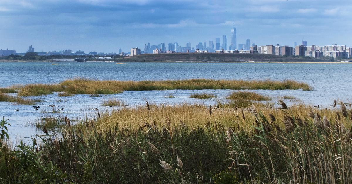 Did You Know NYC Has Some of the Cleanest Tap Water in the World?