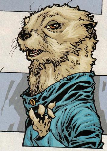 Who Is the Otter in Guardians of the Galaxy Vol. 3?
