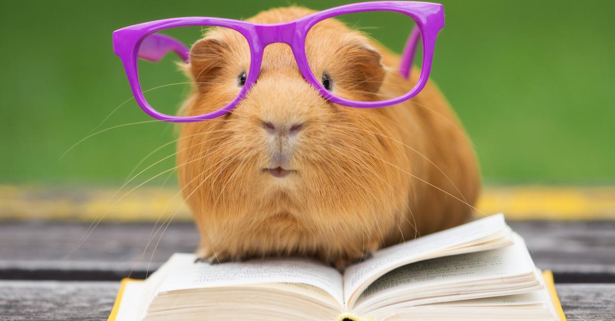 These Jokes for School Will Have Your Classmates Laughing