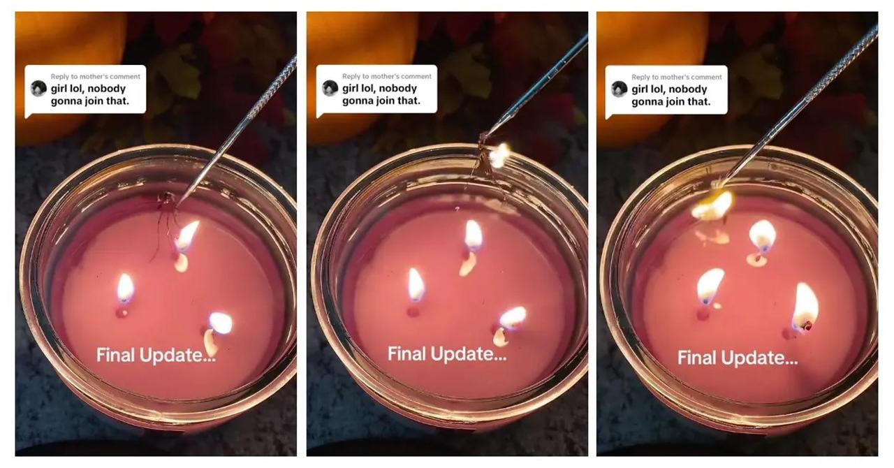 A Woman Finds a Bug Inside Her Brand-New Candle