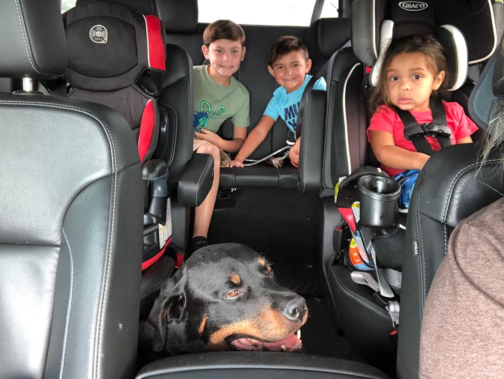 What Happened Kailyn Lowry's Dog Bear? And Meet Her New Pup