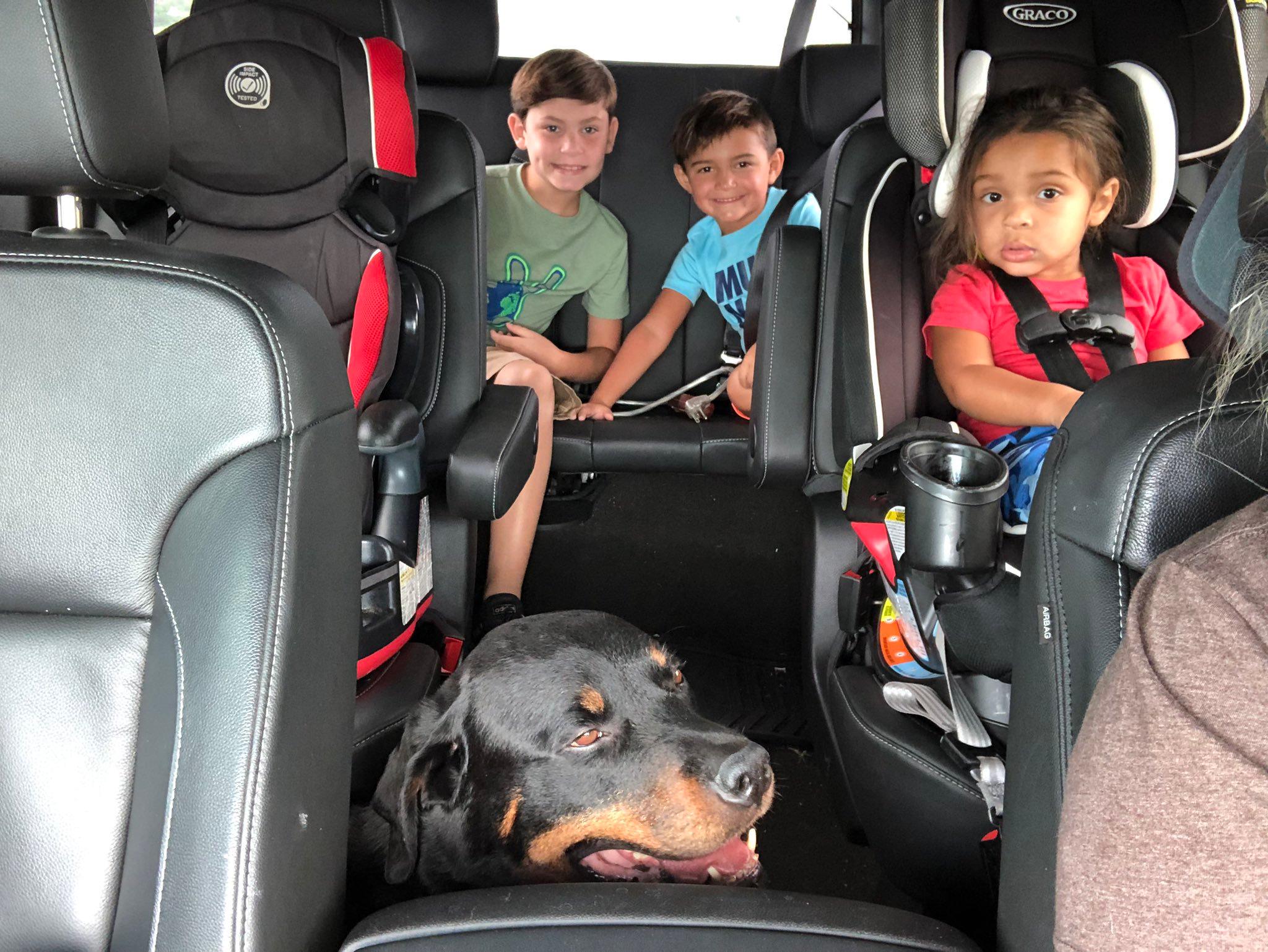 What Happened Kailyn Lowry's Dog Bear? And Meet Her New Pup