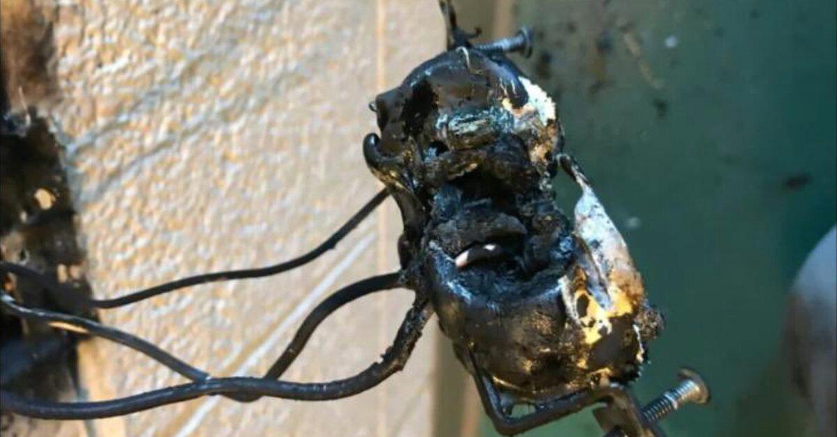 The "Outlet Challenge" on TikTok Is a Nightmare for Firefighters