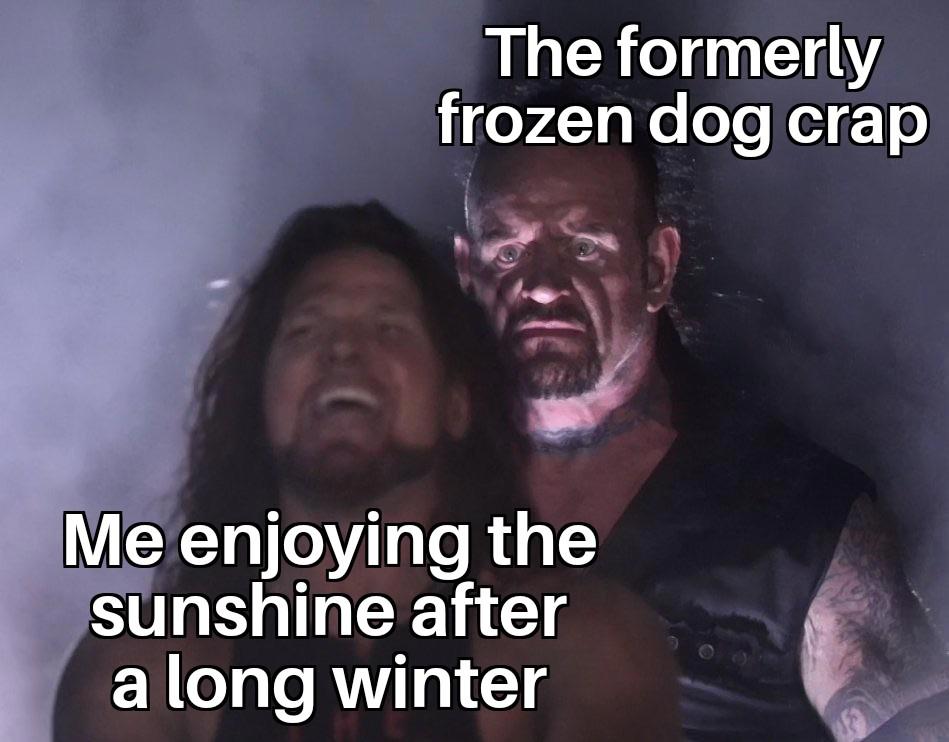 First Day of Spring Memes About the Season Changing