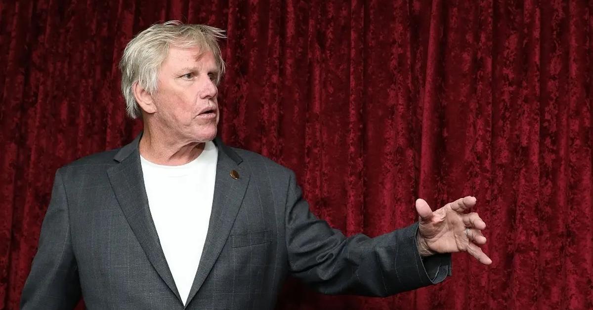 What Is Gary Busey Up to Now? Possible Hit-and-Run