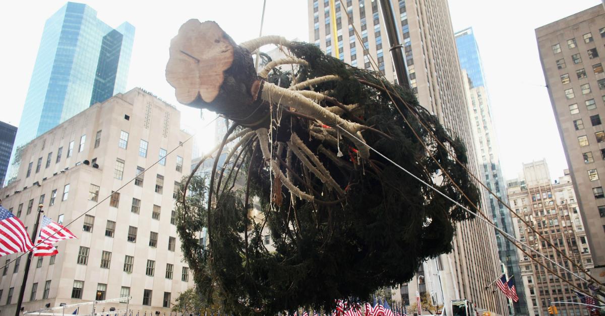 How Tall Is the Rockefeller Christmas Tree? Plus More Fun Facts`