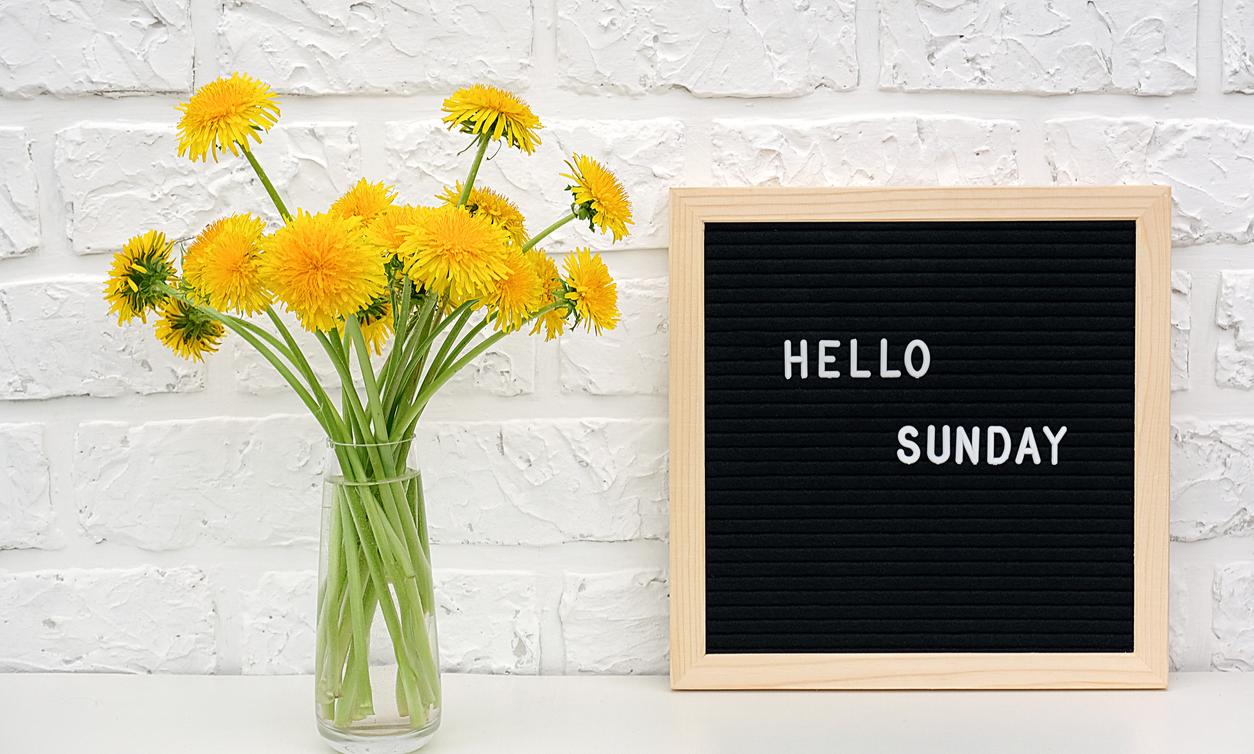Sunday Funday Quotes: 24 Quotes to Combat the Sunday Scaries