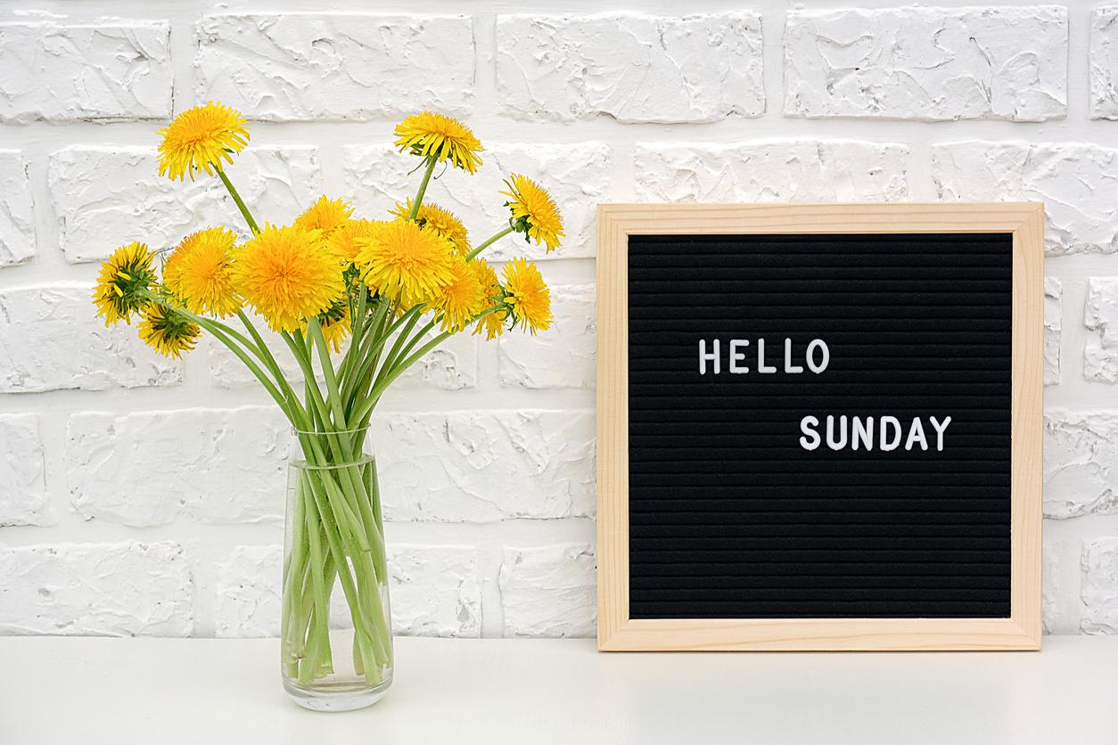Sunday Funday Quotes: 24 Quotes to Combat the Sunday Scaries