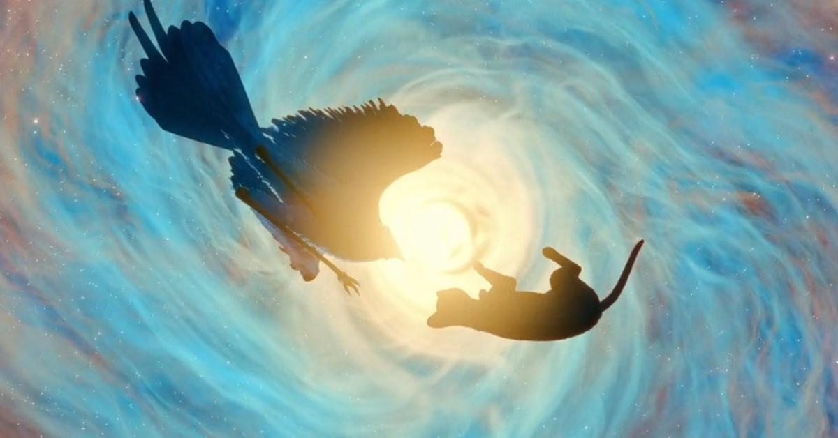 What Happened to the Bird In Flow?