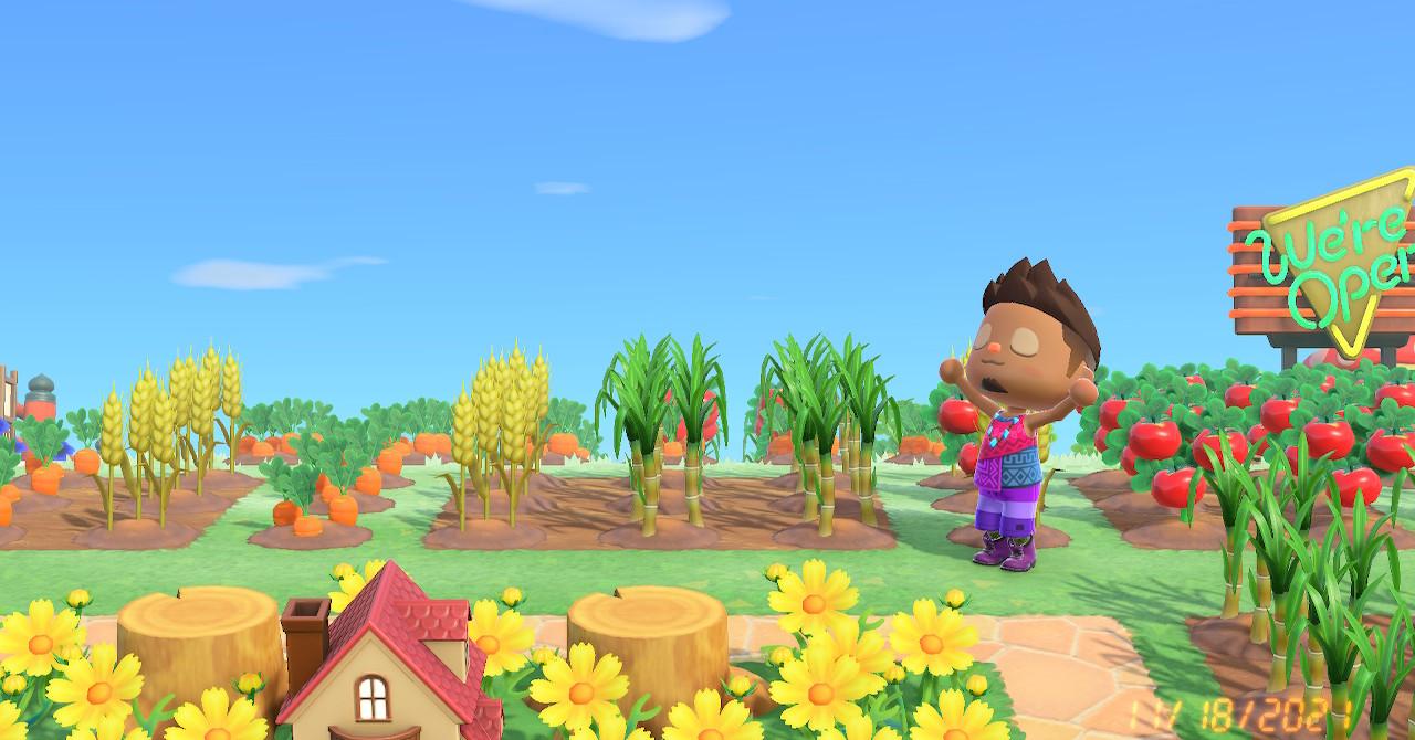 How to Get All of the New Crops in 'Animal Crossing: New Horizons'