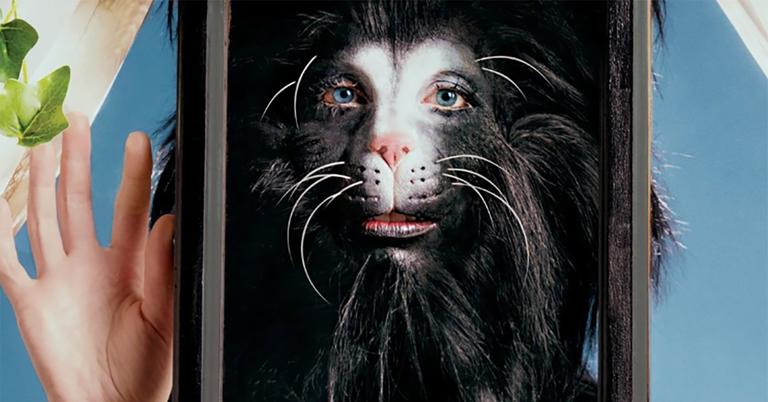 Lucky the Cat's Status Got an Update From The Cut