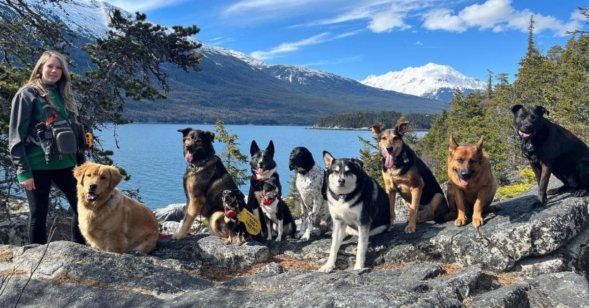 Mo Mountain Mutts' TikTok Goes Viral With Dog-Friendly Bus