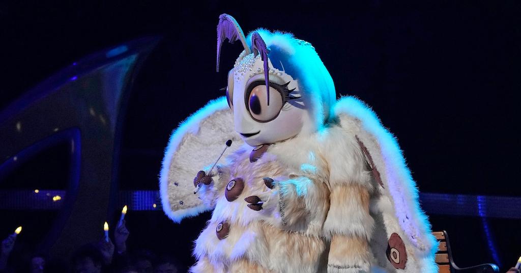 Who Is Poodle Moth on The Masked Singer? She's Been Unmasked! (SPOILERS)