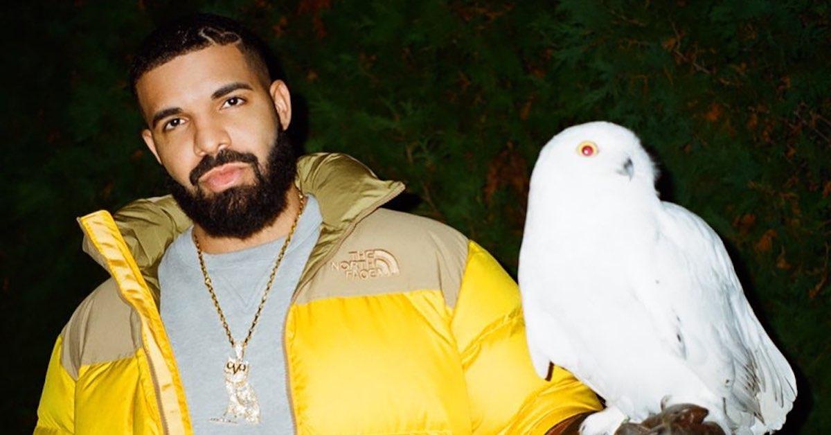 What Happened to Drake's Leg? Did He Have an Operation for the Injury?