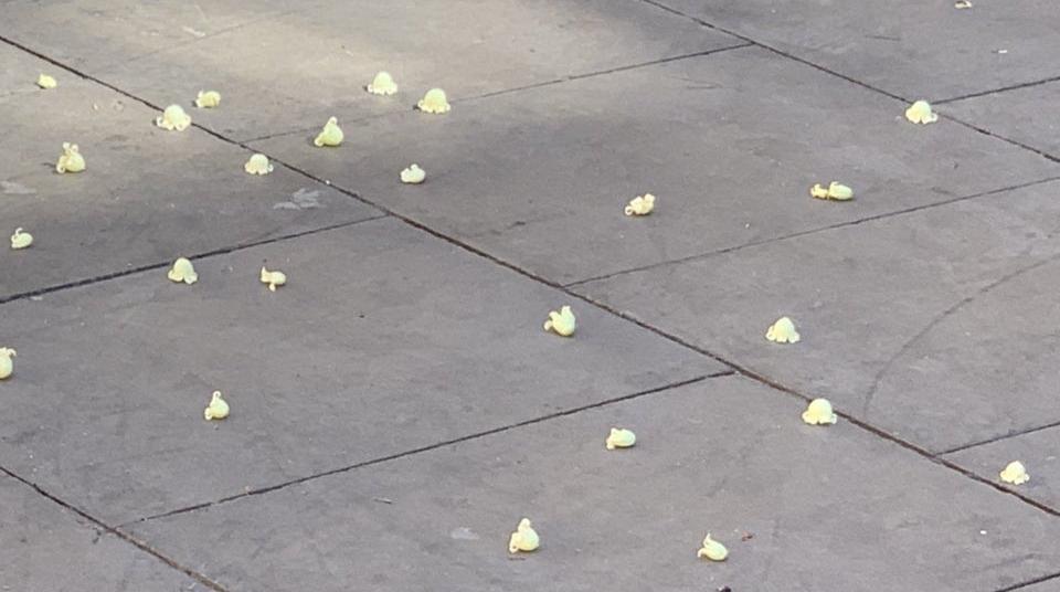 These Forbidden Snacks Look Edible, But You Should Not Eat Them