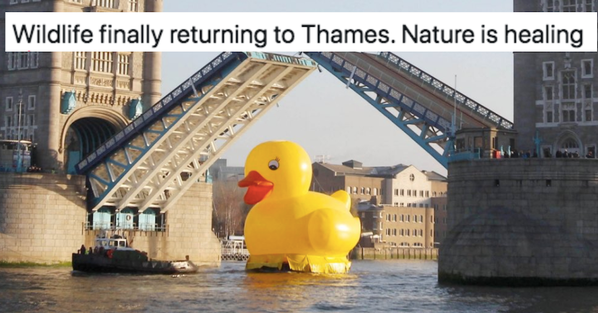 'Nature Is Healing' Jokes That Will Make You Giggle During This Dark Time